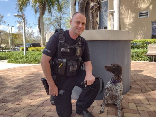 Meet Meri: Coral Springs Police Department’s Newest Addition to the K9 ...