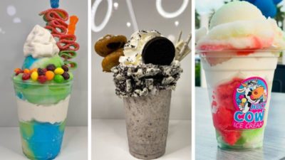 Holy Cow Ice Cream Lounge Brings Bold Flavors and Fun to Margate ...