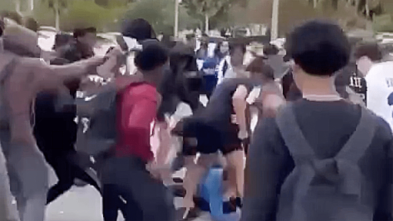 Student Injured in Attack Caught on Video Near Marjory Stoneman Douglas ...